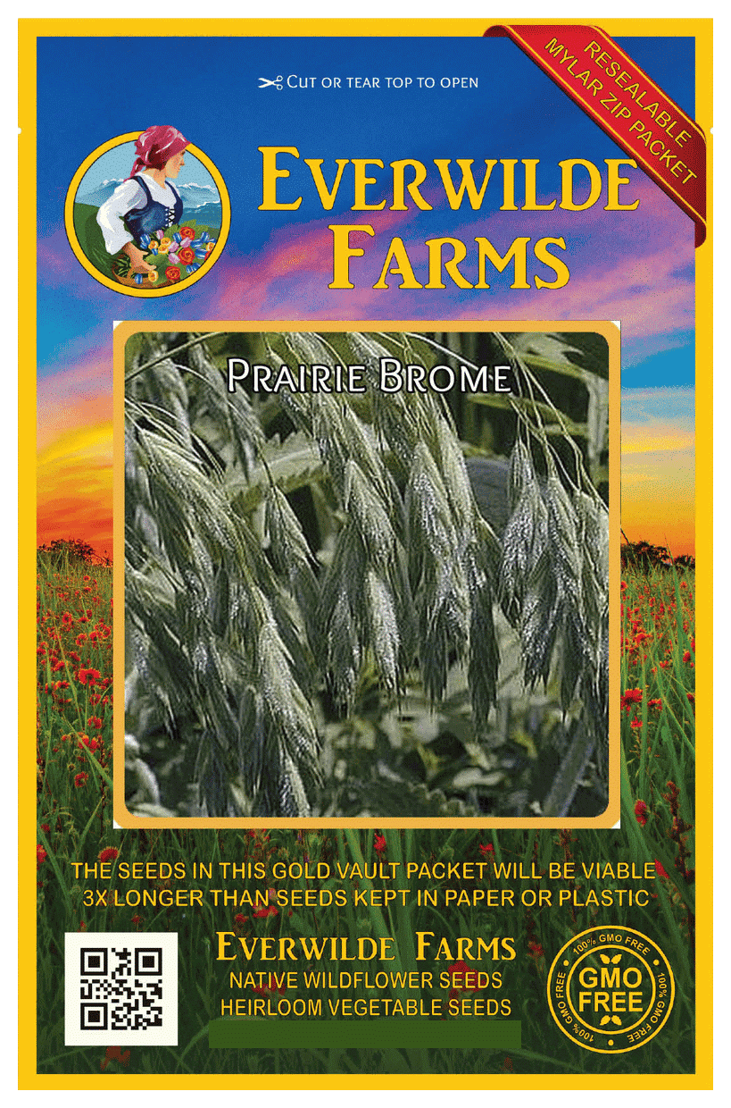 Everwilde Farms - 1000 Prairie Brome Native Grass Seeds - Gold Vault ...