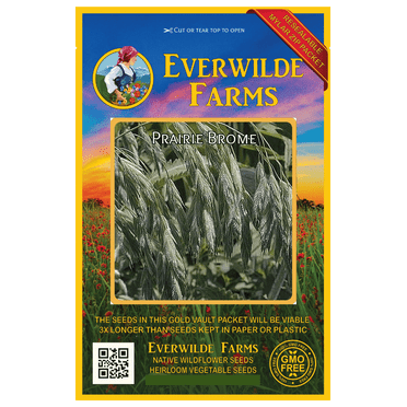 Everwilde Farms - 1/4 Lb Canada Wild Rye Native Grass Seeds - Gold ...