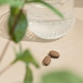 Banyan Botanicals Tulsi (Holy Basil) – Uplifting Adaptogen – Organic ...