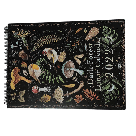 Dark Forest Wall Calendars 2022 Star Moon Annual DIY Recording Animal ...