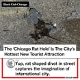 Chicago Rat Hole Graphic Tee TShirt Gift - Walmart.com