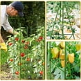 6 Pack 48 Inch Tomato Cages for Garden, Triangle Metal Plant Support ...