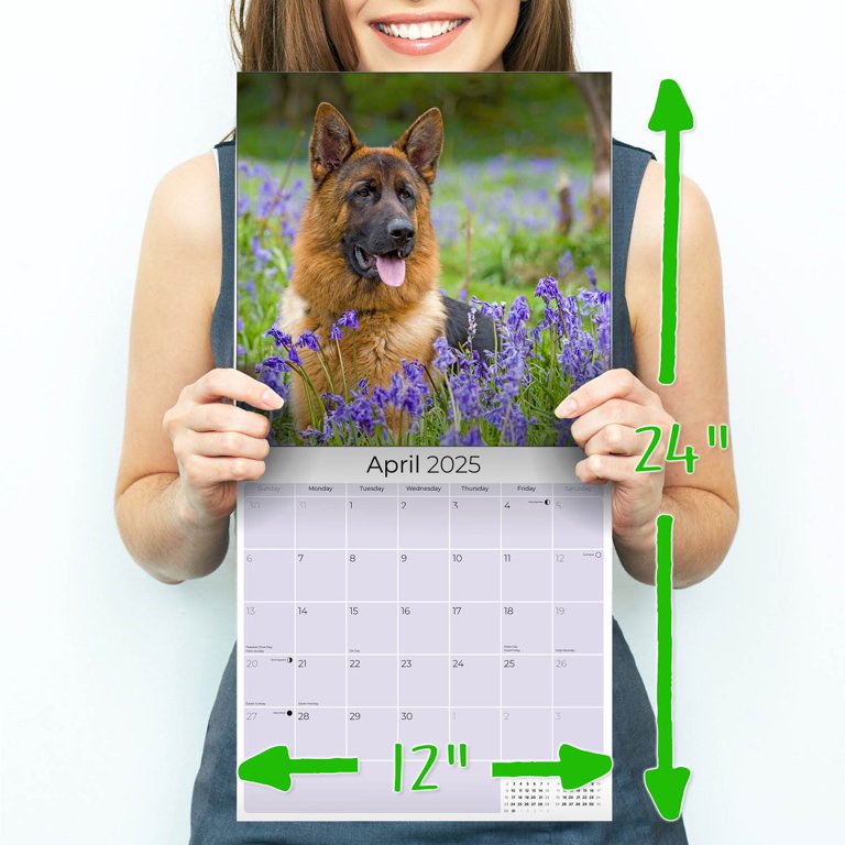 Animals Plannet German Shepherd