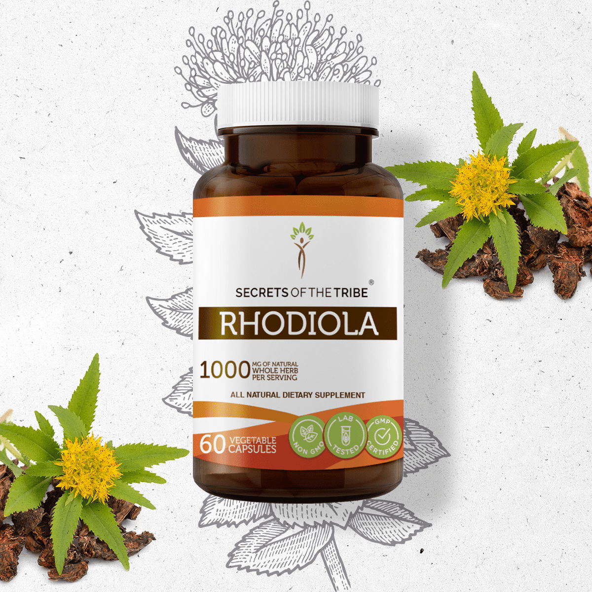 Secrets of the Tribe Rhodiola 60 Capsules, 500 mg, Organic Rhodiola ...