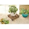 Better Homes & Gardens 12 inch Square Wood Plant Caddy with Locking ...