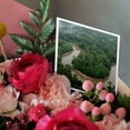 3drose, Tiputini River and Rainforest, Yasuni, Amazon Rainforest ...