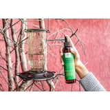 Donaldson Farms Hummingbird Feeder Bee Repellent, 8oz - Walmart.com