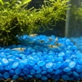 Feledorashia Glowing Aquarium Decorations, Fish Tank Accessories ...