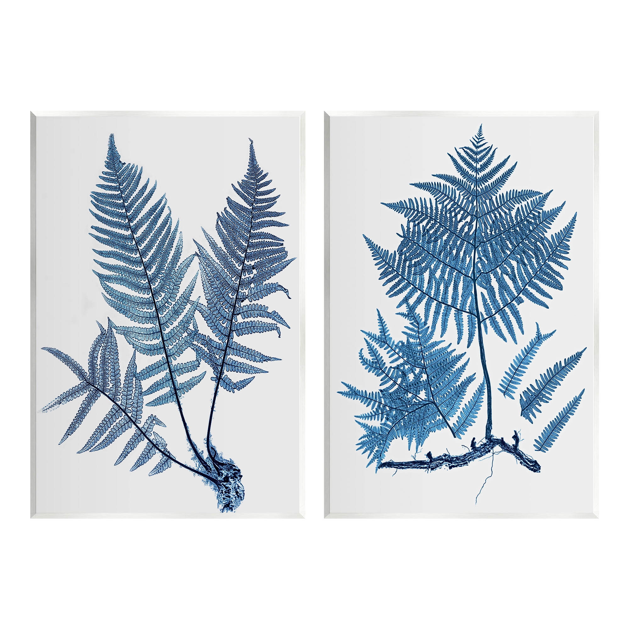 Stupell Industries Bold Blue Ferns Woodland Nature Botanical & Floral ...