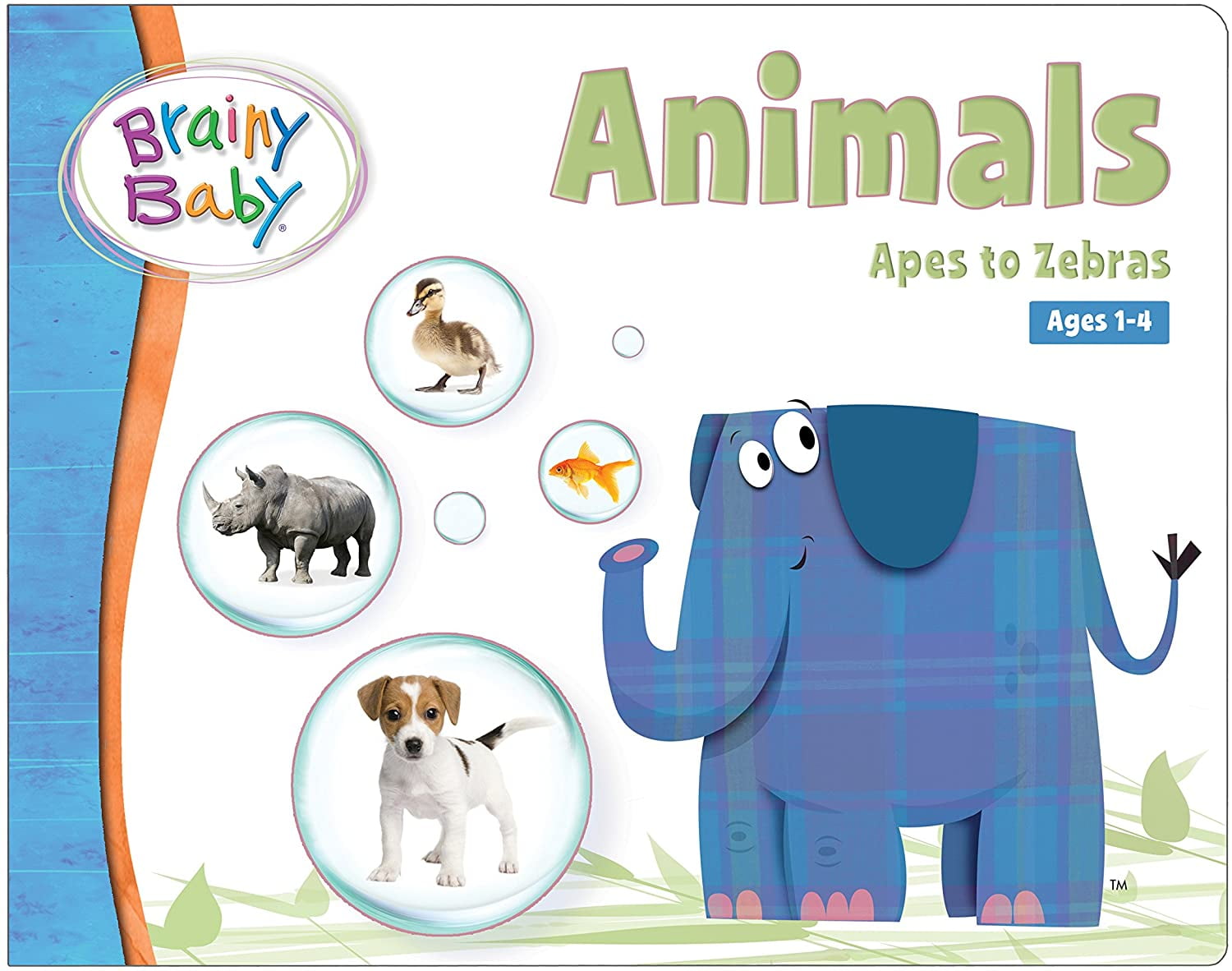Brainy Baby Animals Board Book: Apes to Zebras - Walmart.com