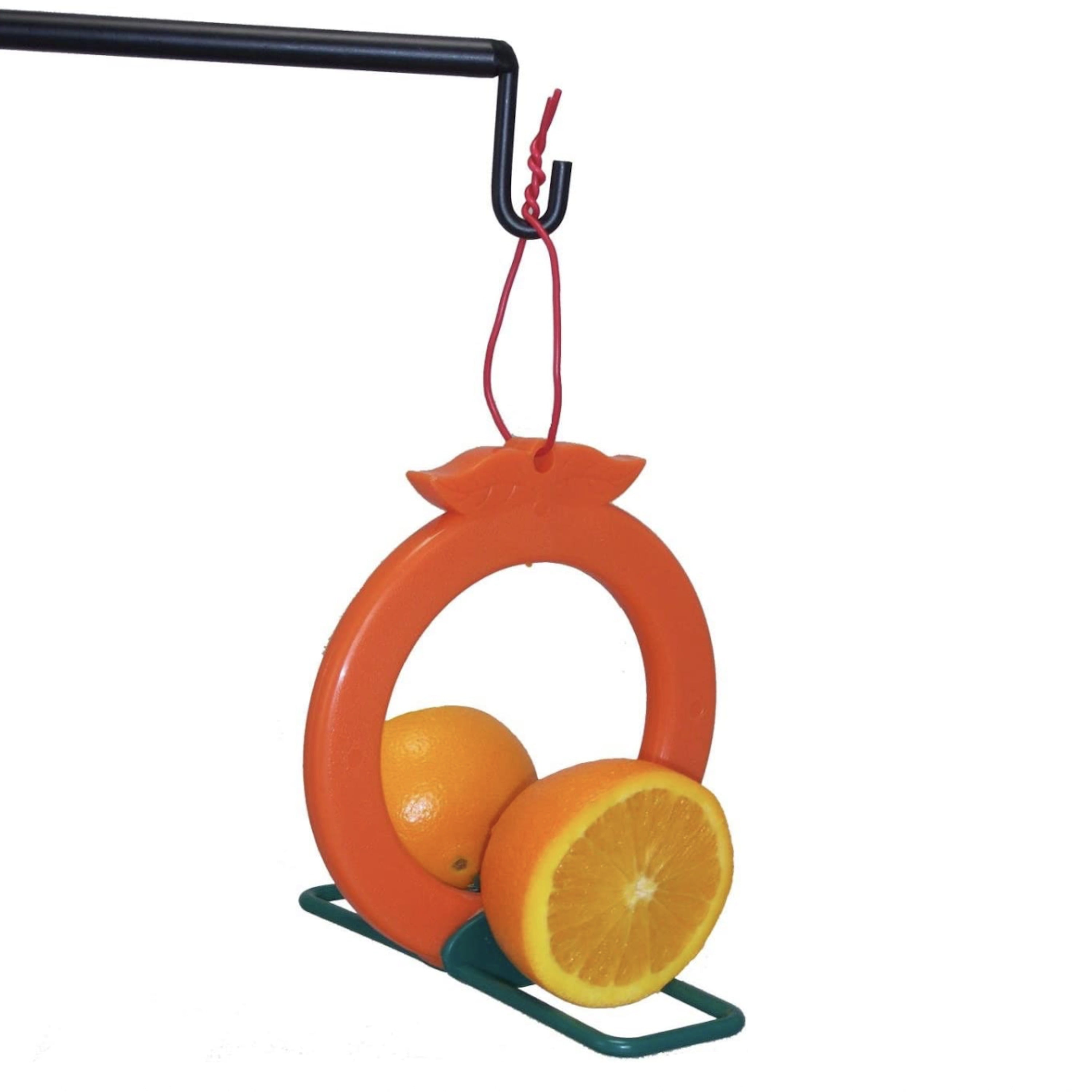 Songbird Essentials Bird Feeder Two Sided Orange Oriole Feeder