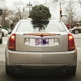 Aluminum Alloy Decoration Frame for Licence Plate Rectangle Cat Shape ...