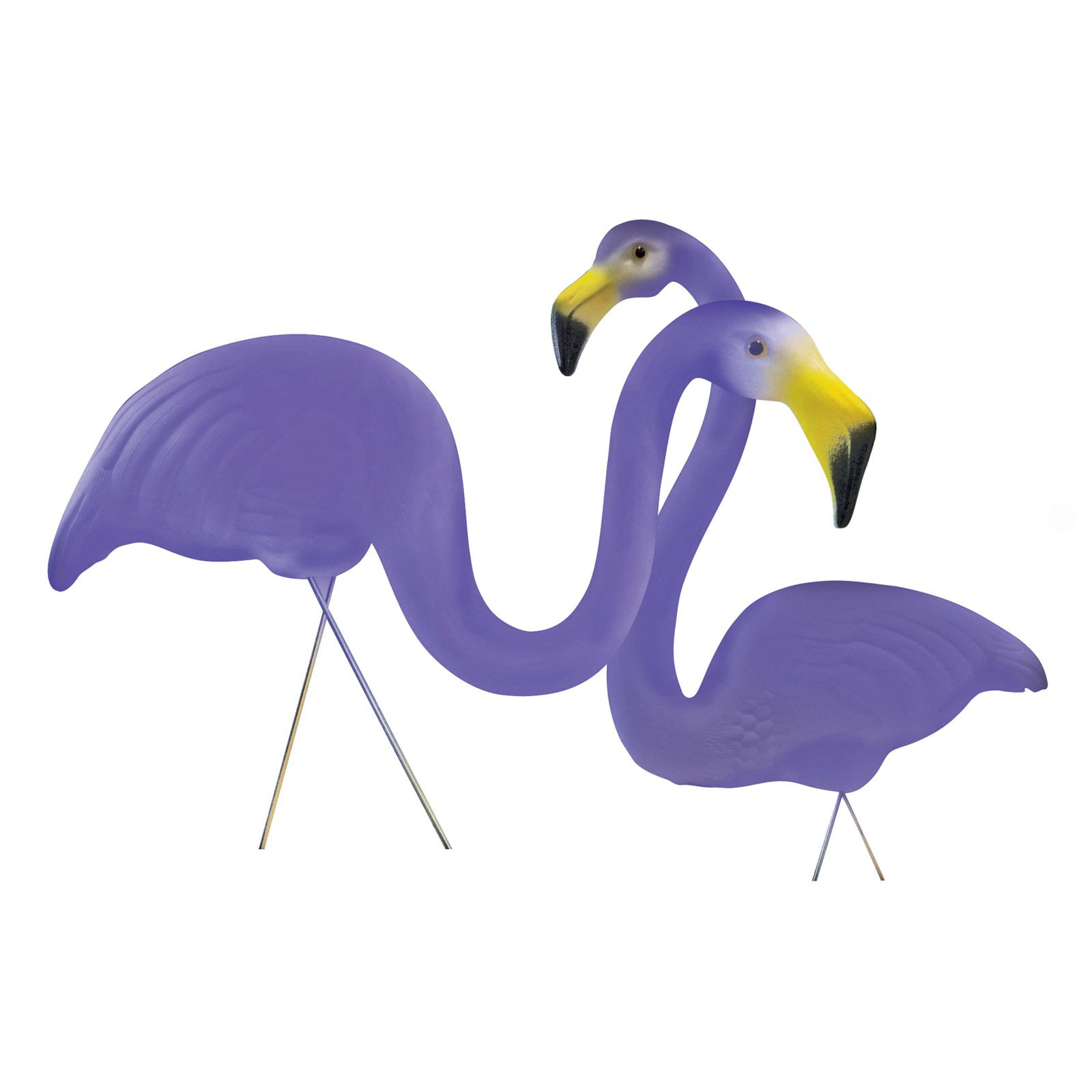 Real Purple Flamingos