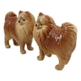 Ebros Pom Pom Golden Groomed Pomeranian Attractives Magnetic Salt ...