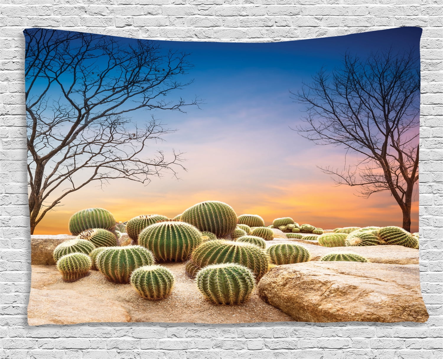 Cactus Decor Tapestry, Cactus Balls with Spikes on a Montain Desert ...