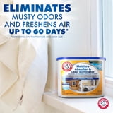 ARM & HAMMER Moisture Absorber, Odor Eliminator, Clean Burst Scent, 14 ...