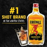 Fireball Cinnamon Malt Beverage, 50ml Bottles, 10 Count, 16.5% Alcohol ...