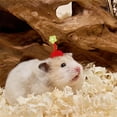 Carrot Rainbow Tower Frog Bunny Style Hand Knitted Mini Hats for ...