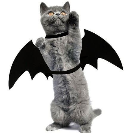 YDJKET halloween pet cat bat wings, bat costume pet costume for cats ...