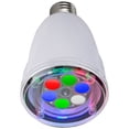 Lightshow Projection Light Bulb-Whirl-a-Motion-Merry Christmas ...