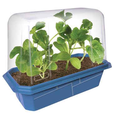 Unique Gardener - Mini Fairy Triad - Indoor Micro-Gardening Kit ...