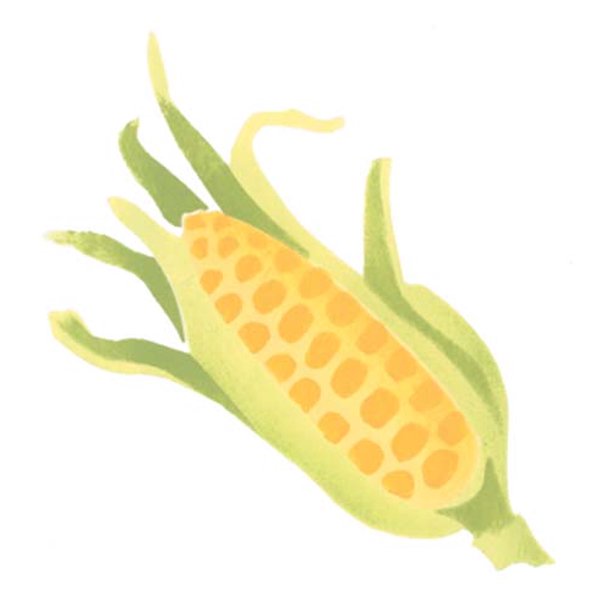 Corn on the Cob Craft Stencil SKU #1258R by Designer Stencils - Walmart ...