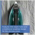 Rowenta Pro Master Xcel Steam Iron, Professional Performance ...