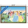 Disney Princess - Collection Wall Poster, 22.375" x 34", Framed ...
