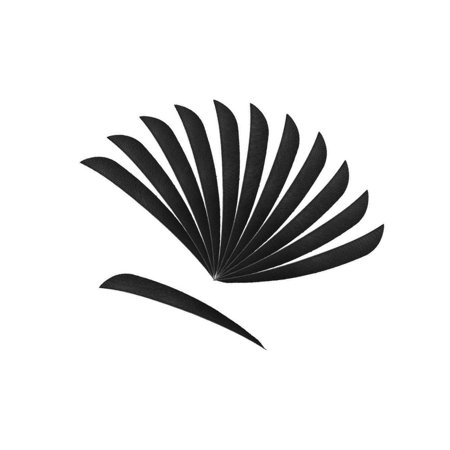 serony 12 Pieces Archery Hunting Arrow Feather Fletching Right Wing ...