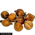 Dutch Iris Dormant Spring Flowering Bulb Mixture 50 Pack - Walmart ...