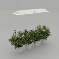 Honeywell 50-Watt Full Spectrum LED Grow Light (Set of 2) 5000 Lumens ...