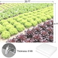 ICERUN 16X26Ft Clear Greenhouse Plastic Sheeting,6 Mil Polyethylene ...