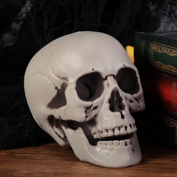Plastic Skull Head Life Size Skeleton Skull Plastic Human Head Skeleton ...