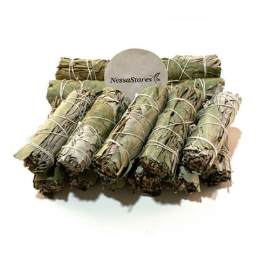 3 Pack Mixed White Sage and Blue Sage Smudge Sticks | Grown in California Smudge Bundles with ...