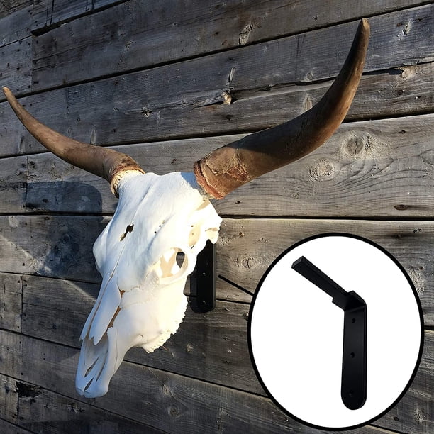 Modern European Skull Hooker - Perfect for Hanging and Mounting ...