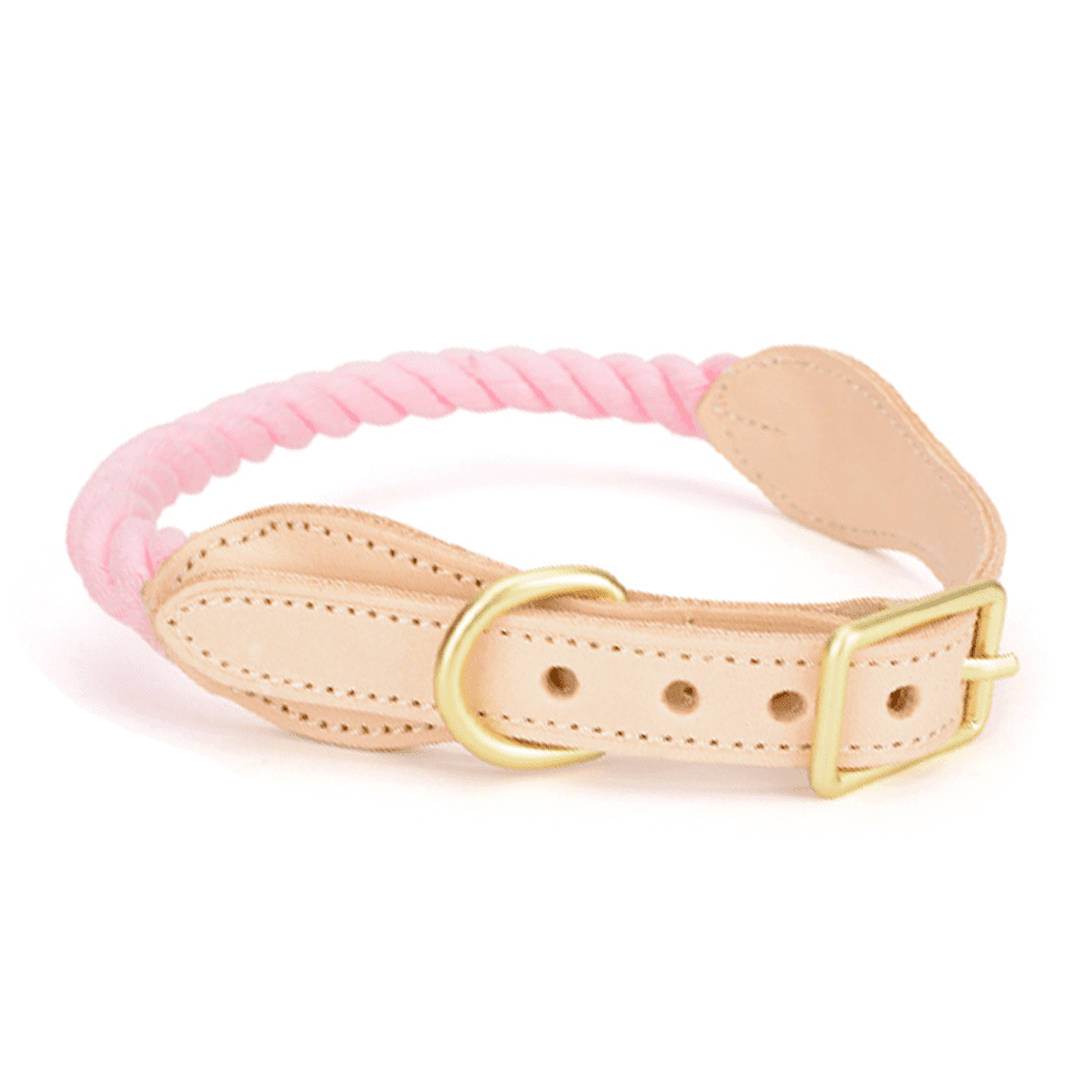Rope Collar - Woven Cotton And Leather Finish - Small, Medium Size ...