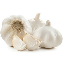 Daylily Nursery Brand California Jumbo Garlic, 3 Bulbs for Fall ...