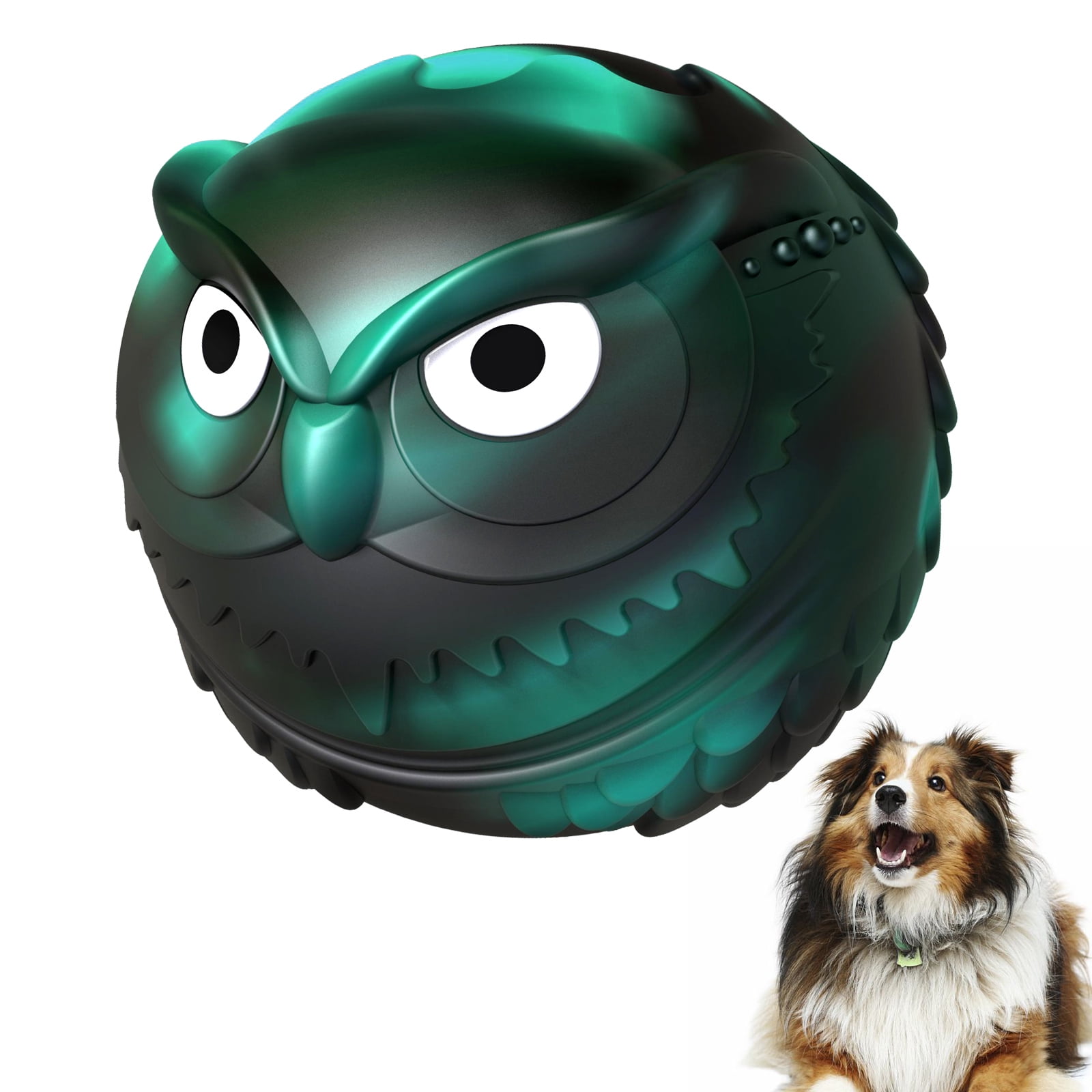Are Shelties Aggressive