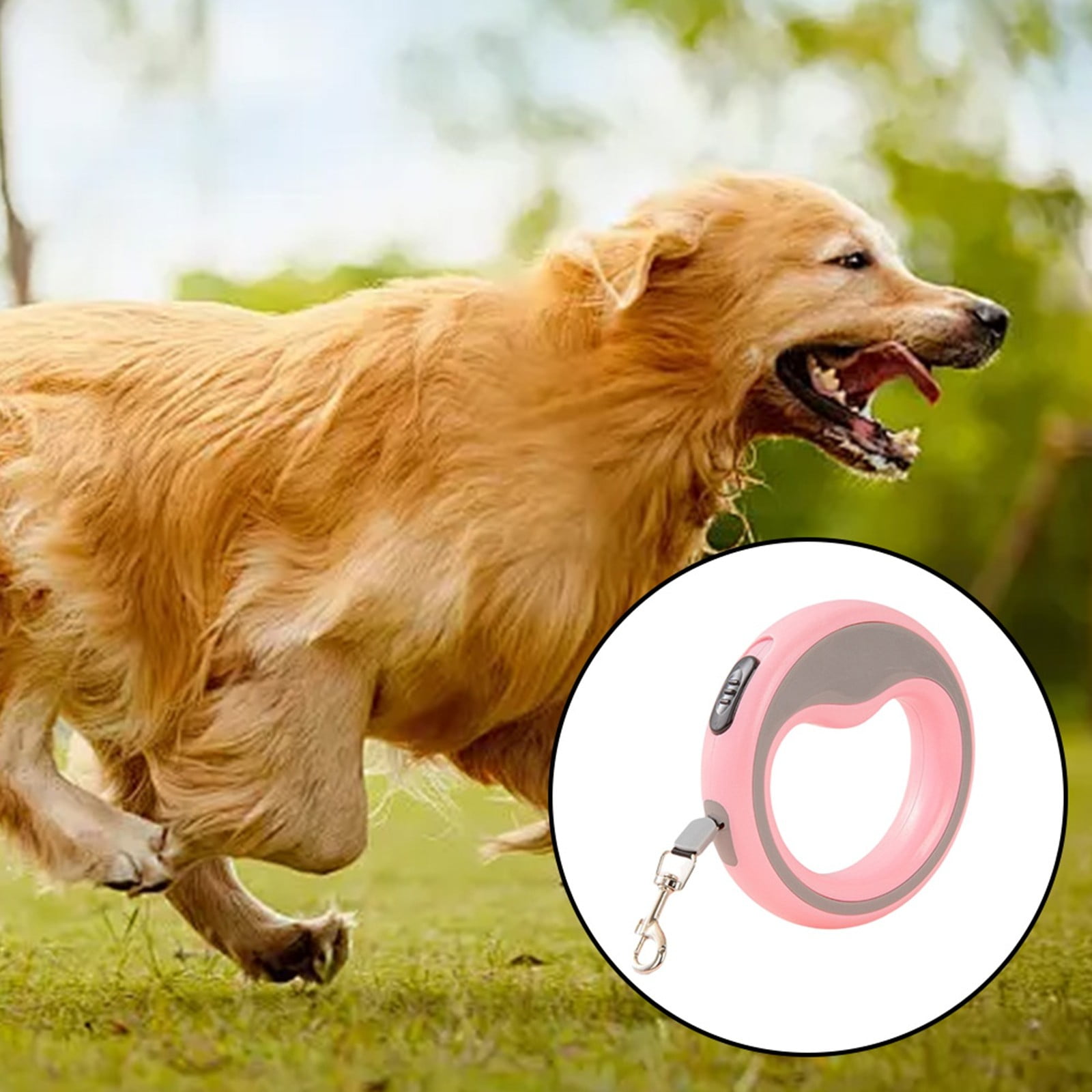 Click here for Vivavault Automatic Retractable Dog Leash For Smal... prices