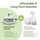 bugmd Termination Station Flea Roach Tick Sticky Trap Indoor Pest Trap ...