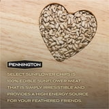 Pennington Select Fruit Flavored Sunflower Chips Wild Bird Feed, 5.5 ...