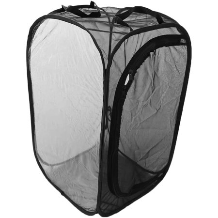 Insect and utterfly Haitat Monarch utterfly Terrarium Pop-up for Kids ...