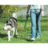 Walky Dog Plus Hands Free Bicycle Dog Leash Exerciser - Walmart.com