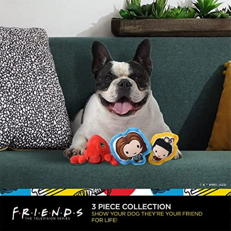 You & me dog toys store