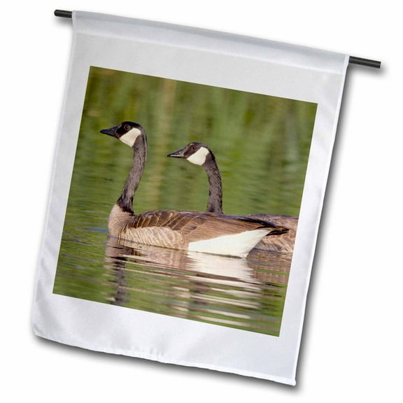 3dRose Scattered playing cards photo - for card game players eg poker ...