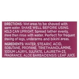 Equate Women's Raspberry Shave Cream, 8 oz, Compare to Pure Silk® Shave ...