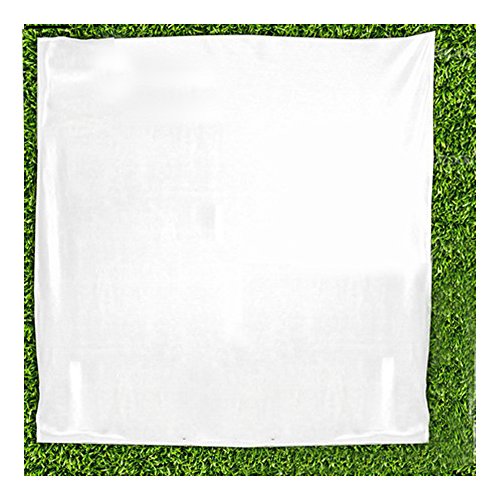 10' x 10' Impact/Projection Screen - Walmart.com