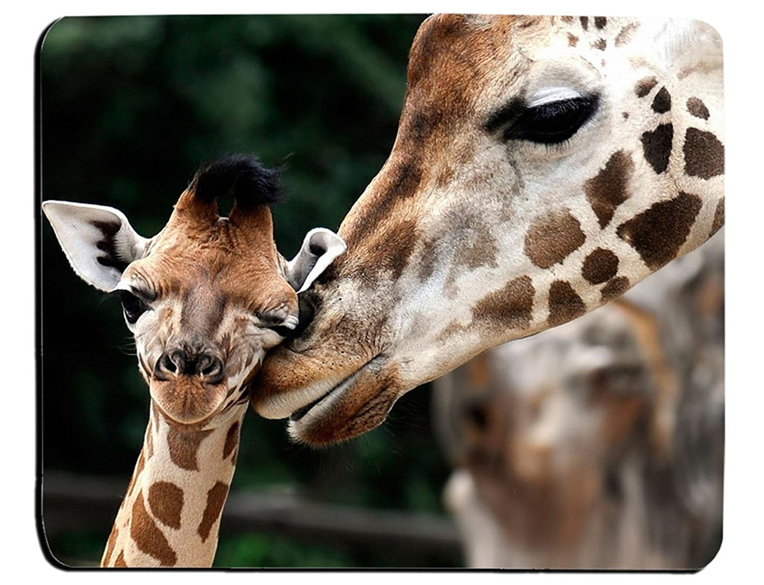 Loving Giraffes Mouse pads Gaming Mouse Pad 9.84x7.87 inches - Walmart.com