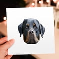3drose, Rottweiler Head Vector Art Cut Out, 6 Greeting Cards with ...