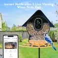 Free Shipping! Birdkiss Smart Bird Feeder with Camera, Outdoor Bird ...
